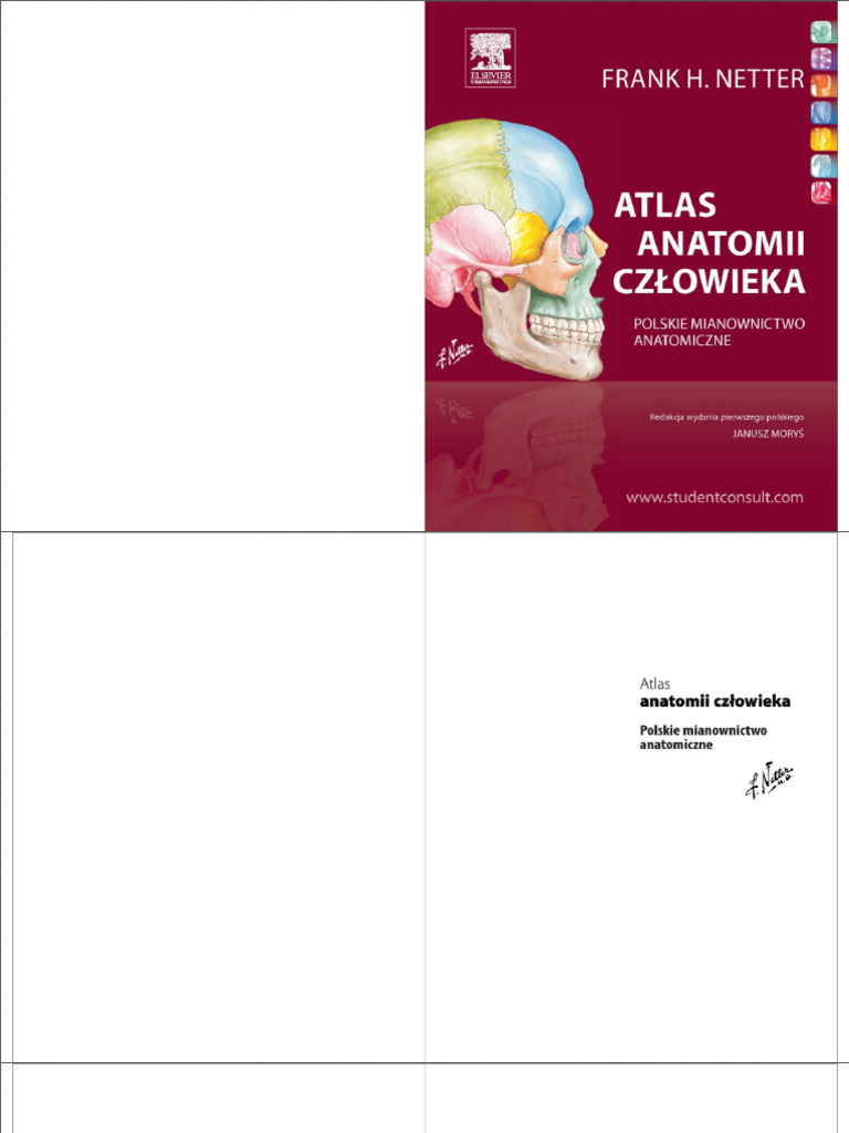 Atlas Anatomiczny Nettera Cz. 1 I 2 | PDF