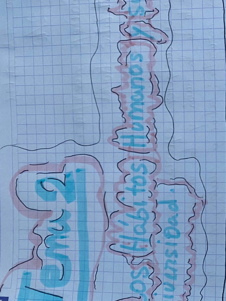 Libreta Geografia Tema 2 - Pedro Clavijo | PDF