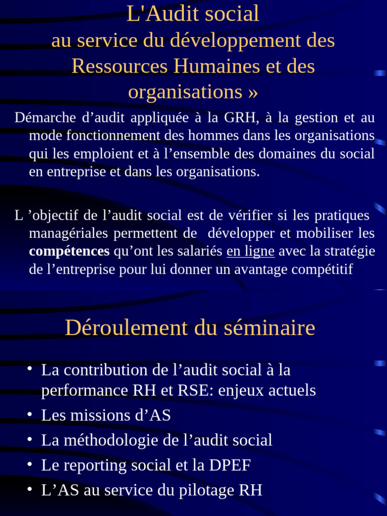 Audit Social FASEG 2024 | PDF | Gestion des ressources humaines | Audit