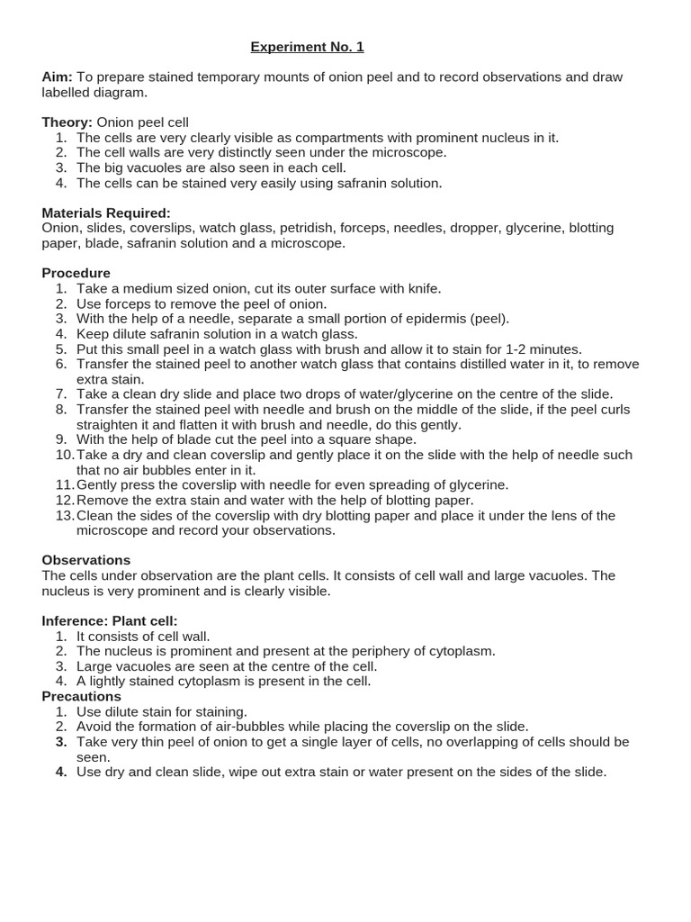 Experiment 1 - Onion Cell - Class9 | PDF | Staining | Cell (Biology)