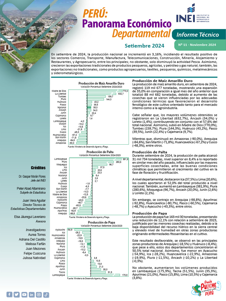 Peru Panorama Economico Departamental N 11 Noviembre 2024 | PDF | Perú ...