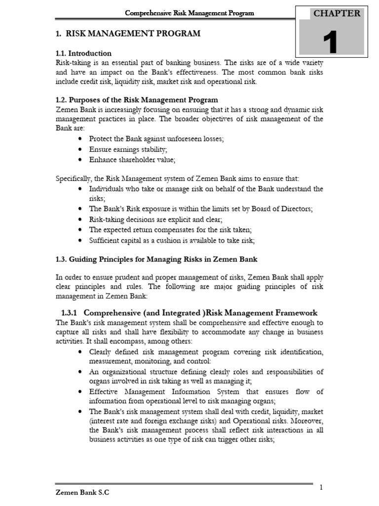 Risk Managment Program- Manual | PDF | Risk | Risk Management