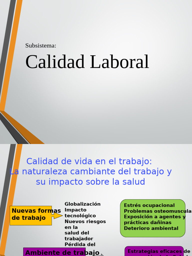 Calidad Laboral - 2019 | PDF