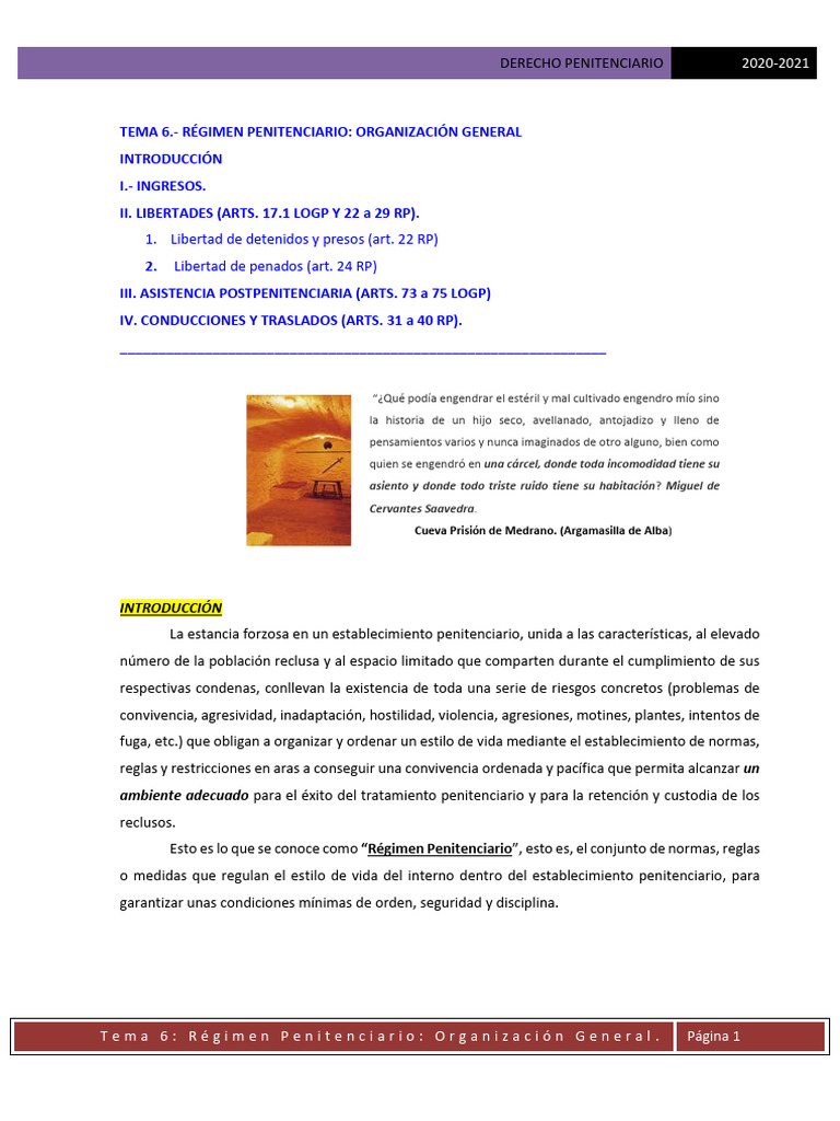 Tema - 6 - DP | PDF | Prisión | Trabajo Social