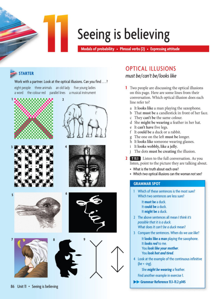 Unit 11 - Seeing Is Believing - NHI | PDF