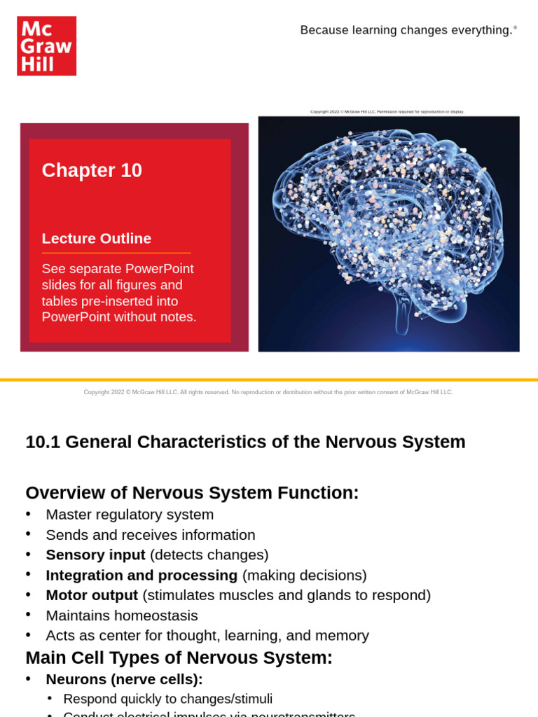Shier Holes HumanA&P 16e Chapter10 | PDF | Chemical Synapse | Action Potential