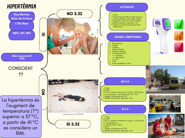 Hipertermia | PDF