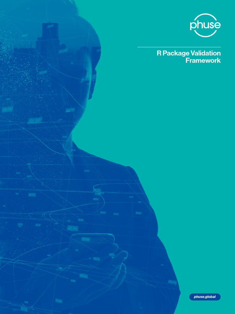 R Package Validation Framework Phuse Pdf Software Testing Computer File