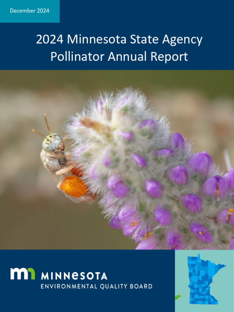 2024 Minnesota State Agency Pollinator Report | PDF | Pollinators ...