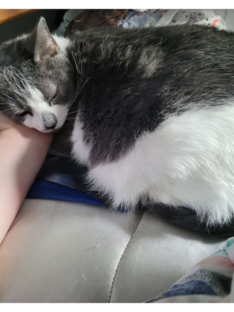 20241001_165240 | PDF