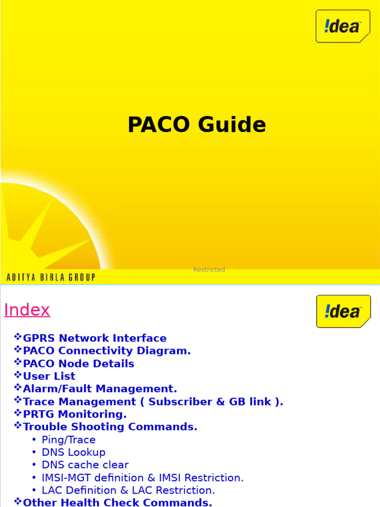 PACO Network Troubleshooting Guide | PDF | Domain Name System | Internet