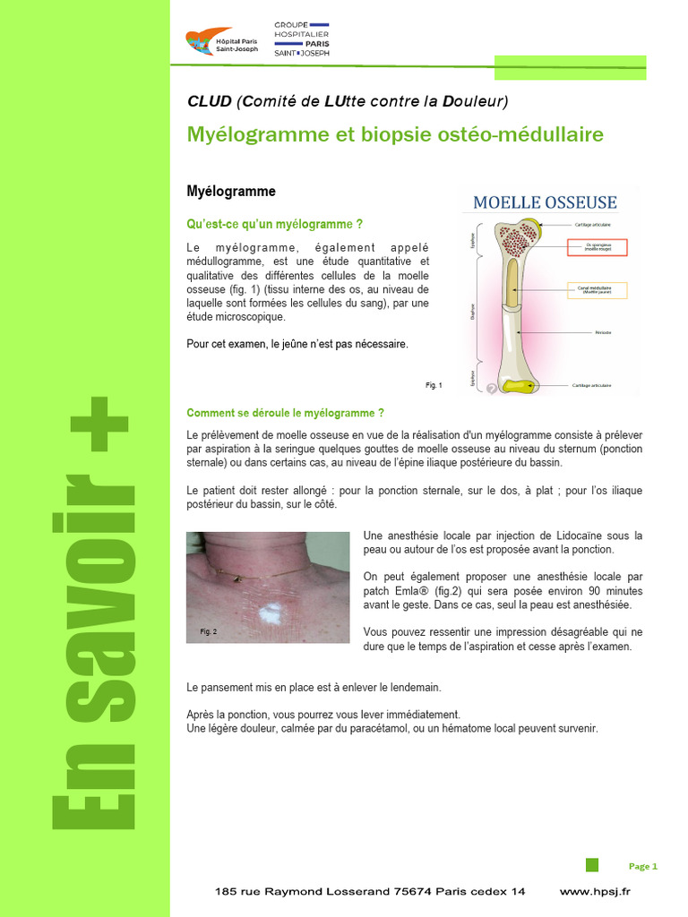 Myélogramme et biopsie ostéo-médullaire | PDF | Biopsie | Moelle osseuse