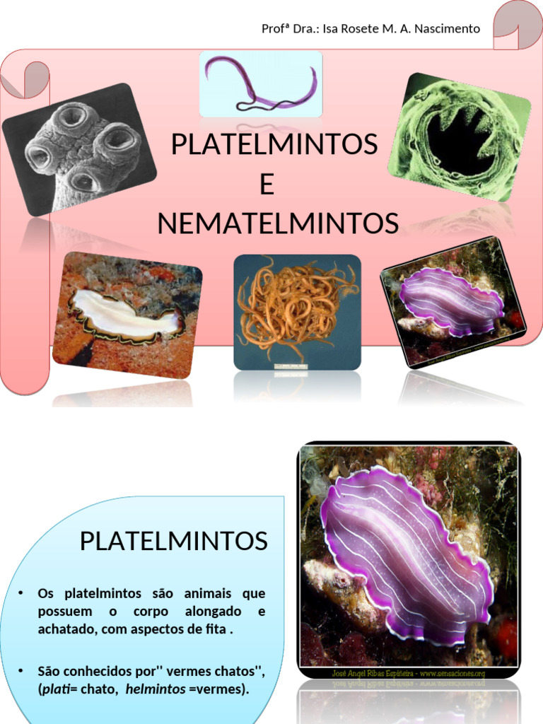 Aula 11 - Platelmintos e Nematelmintos Aula Isa | PDF | Doenças e ...