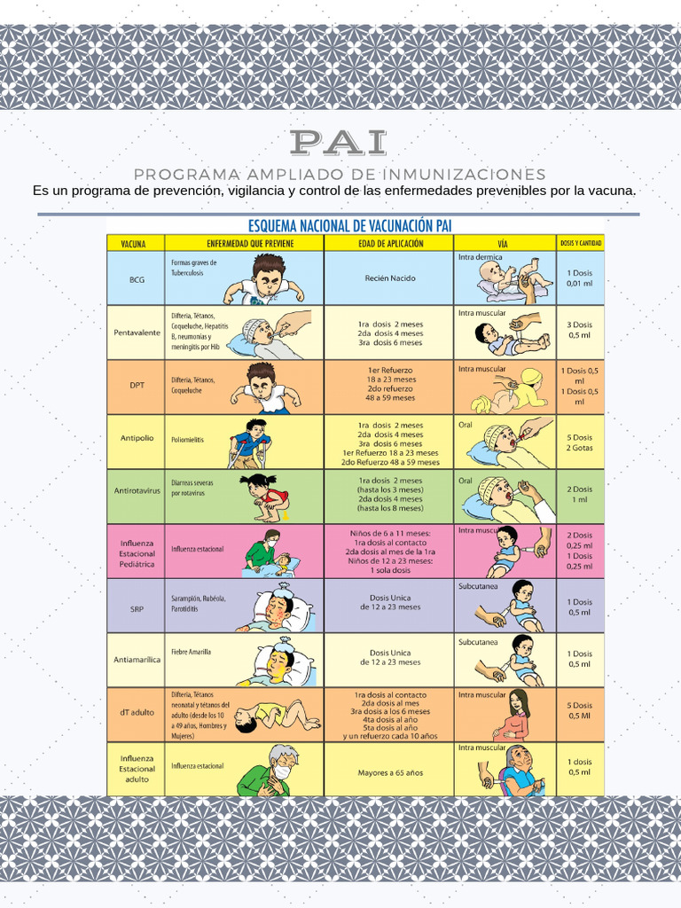 Pai Vacunas Bolívia | PDF