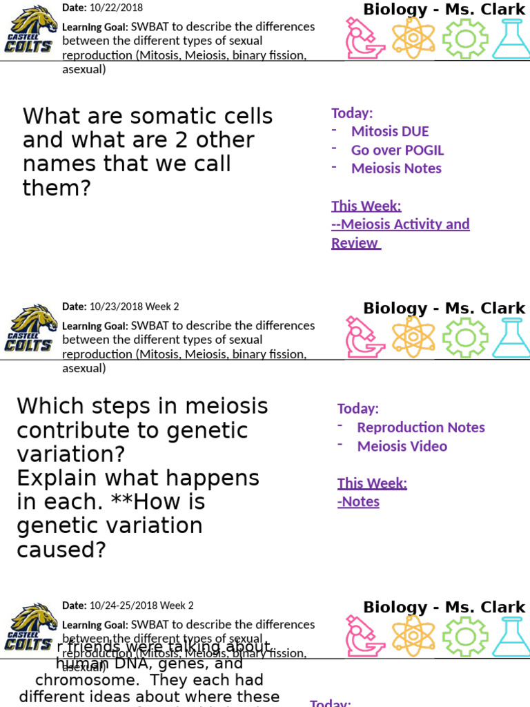 Q2 WK 2 Warm Up Biology | PDF | Reproduction | Meiosis