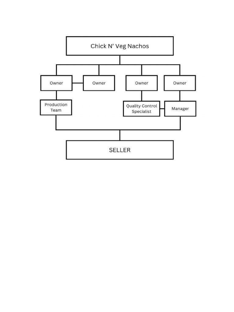 Operational Plan | PDF