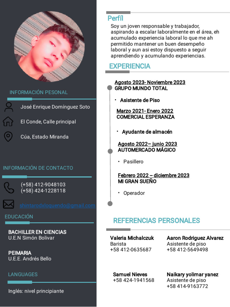 CV Jose Enrique Dominguez Soto | PDF