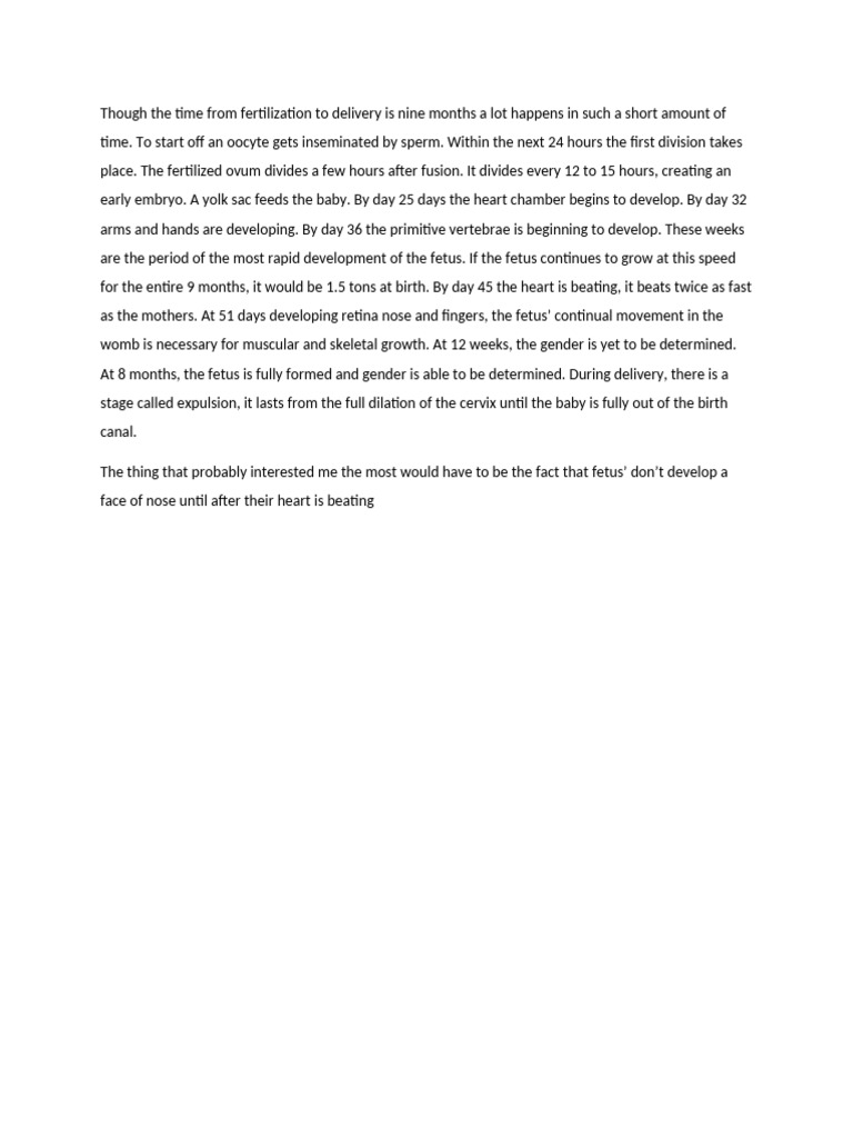 Half Page Summary Conception To Birth | PDF