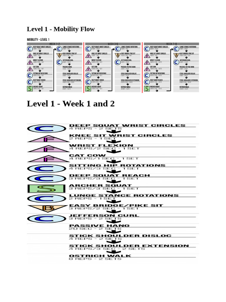 Level 1 - Mobility Flow | PDF