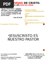 Tipos de Ovejas en la Biblia | PDF | Oveja | Dios