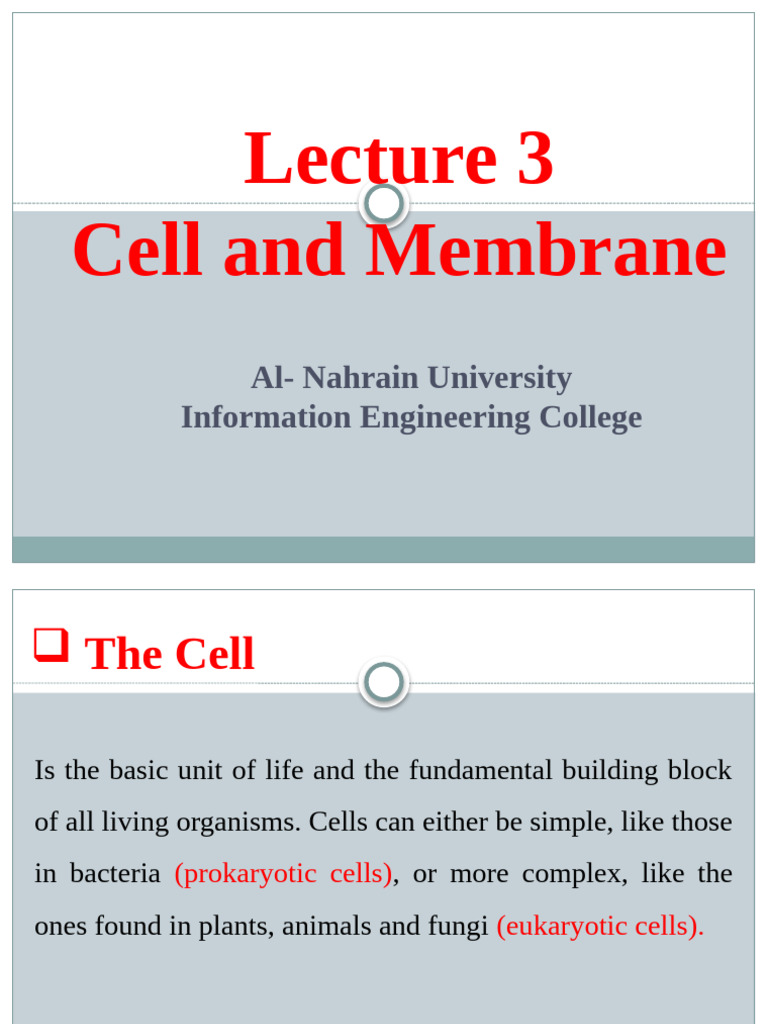 Lec3 | PDF | Cell (Biology) | Organelle