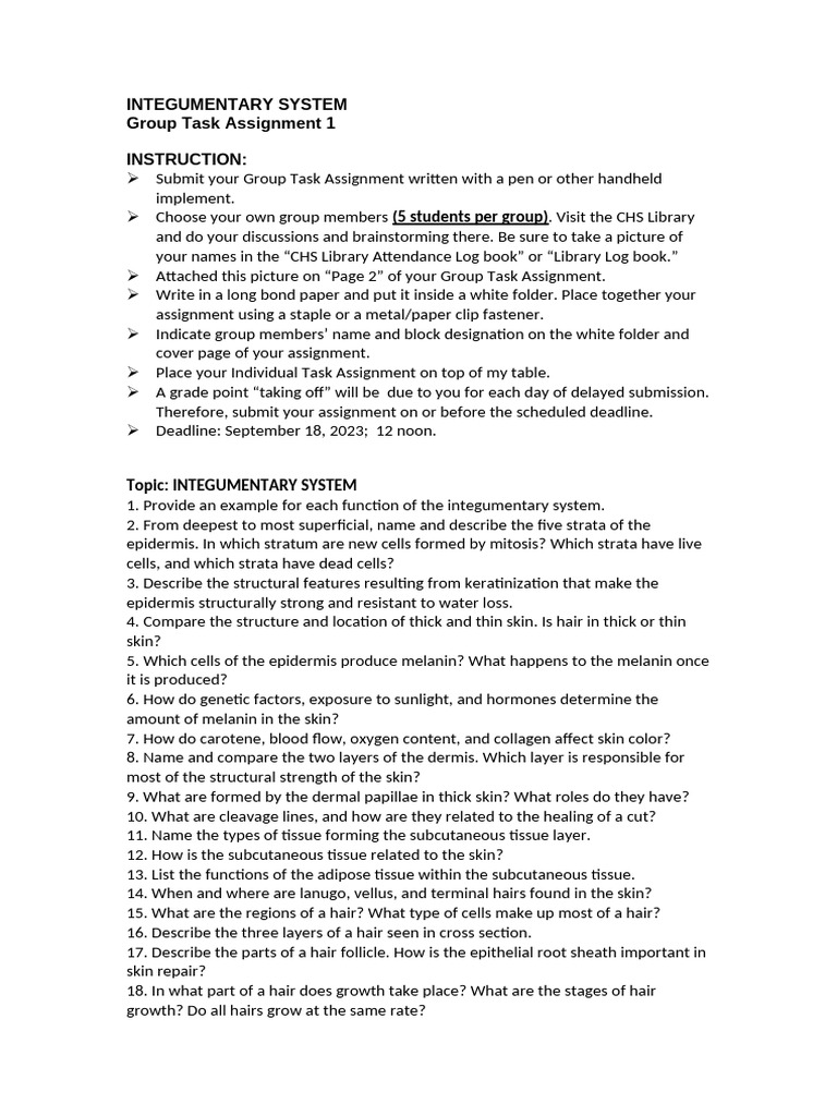 Integumentary-System-Group-Task-Assignment1 | PDF | Skin | Hair