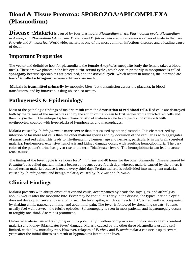 malaria -lect.11 | PDF | Malaria | Plasmodium