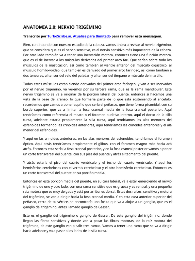 Anatomia 2 0 Nervio Trigémino Pdf Médula Espinal Cabeza Y Cuello