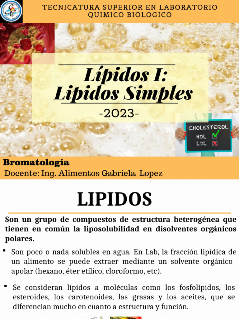 Clase 06 - Lipidos I | PDF | Lípido | Compuestos orgánicos