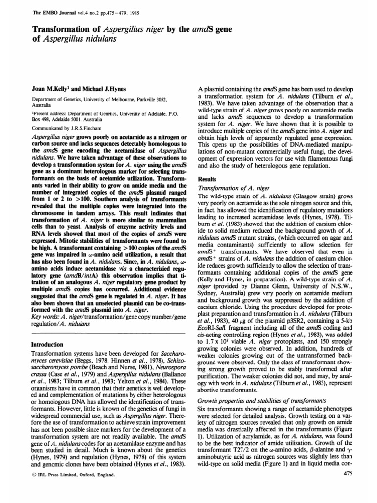 kelly-hynes-1985-transformation-of-aspergillus-niger-by-the-amds-gene ...