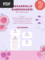 Atlas del Desarrollo Embrionario del Perro | PDF | Embrión | Procesos ...