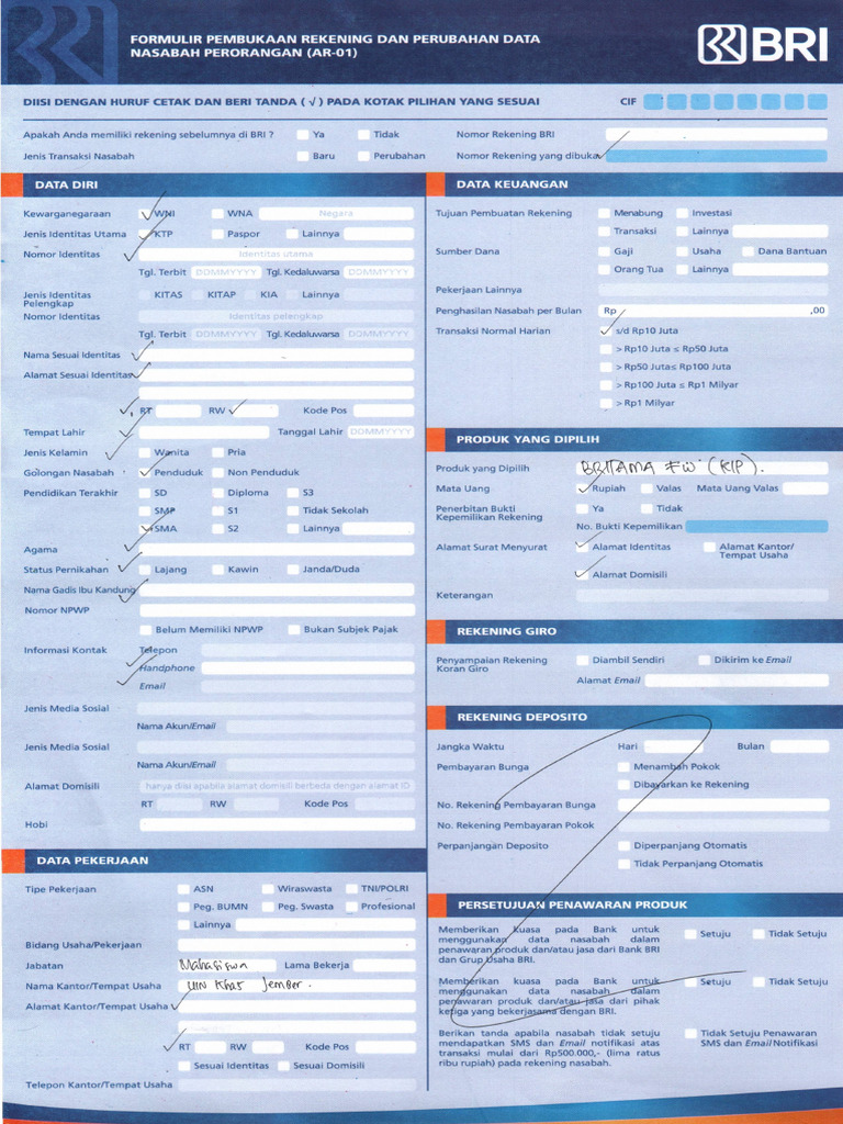 Formulir BRI | PDF