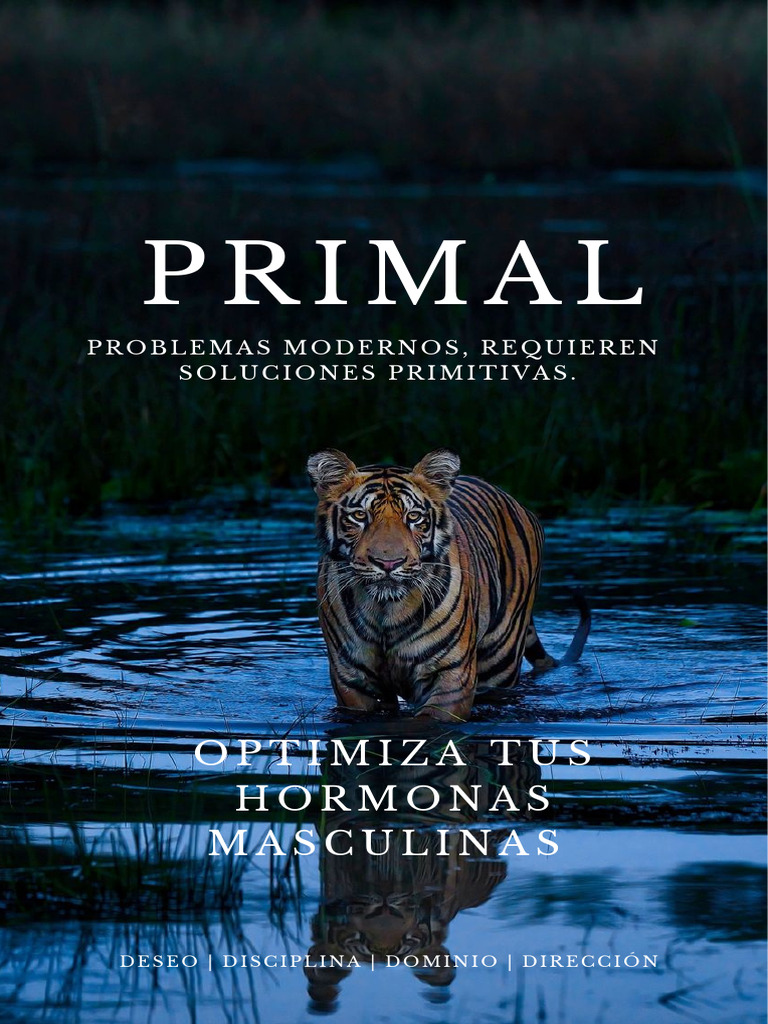 Primal | PDF | Alimentos | Vitamina D