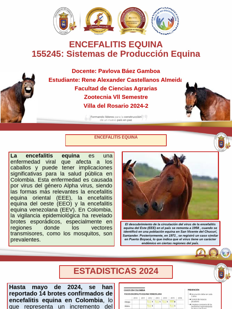Encefalitis Equina Expo 2024-2 | PDF | Epidemiología | Enfermedades y ...