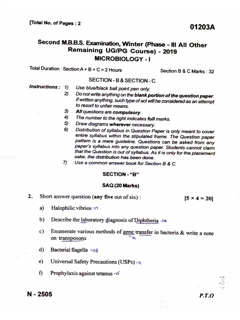 Winter 2019 2nd yr | PDF