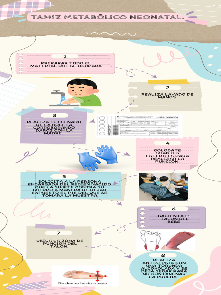 Proceso de Tamiz Metabólico Neonatal | PDF