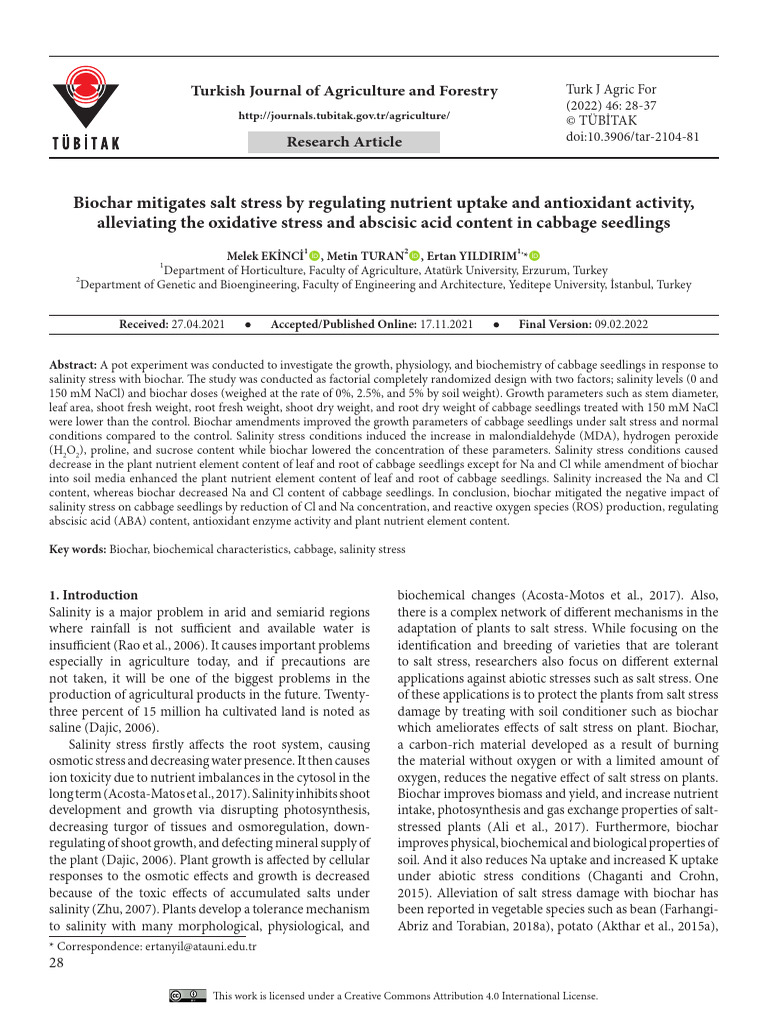Biochar Mitigates Salt Stress by Regulatingtres Intéresant | PDF ...