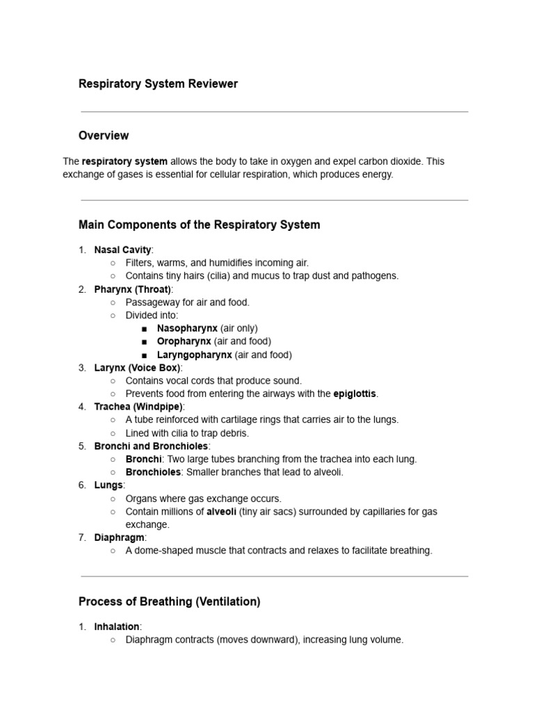 Respiratory System Reviewer | PDF | Respiratory Tract | Lung