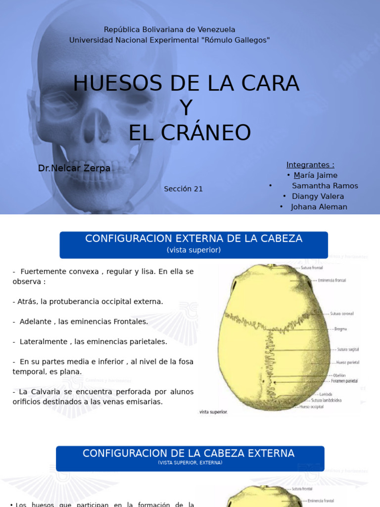 Texto del párrafo_20241202_071456_0000 | PDF | Cráneo | Otorrinolaringología