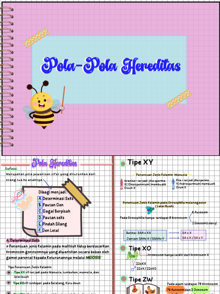 Pola Hereditas | PDF