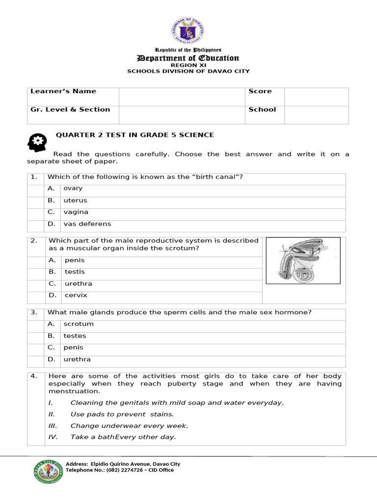 SCIENCE-5-Q2-EXAM (1) | PDF | Menstrual Cycle | Flowers