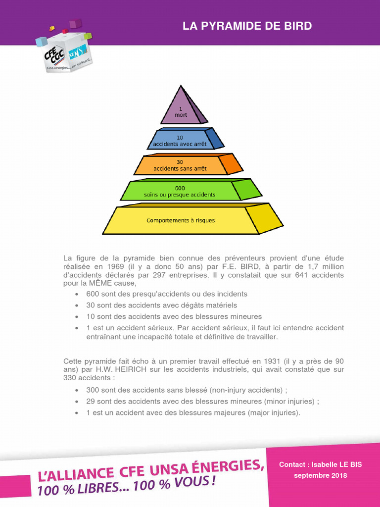 Pyramide de Bird : Mythe et Réalités | PDF | Risque