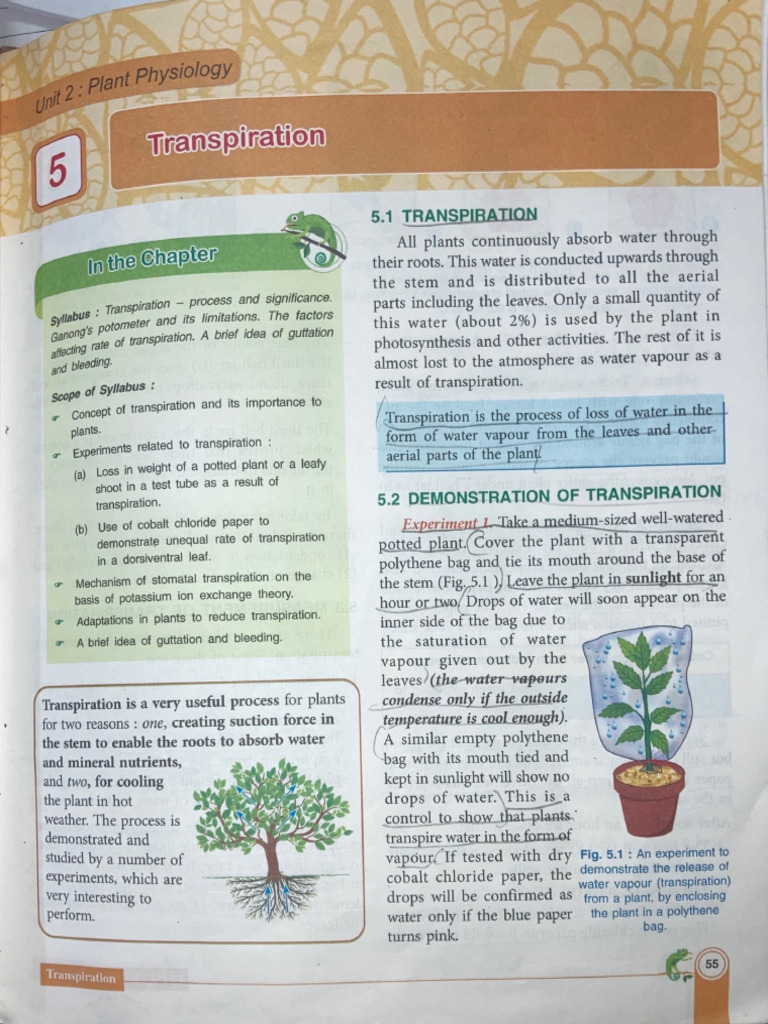 Transpiration s | PDF