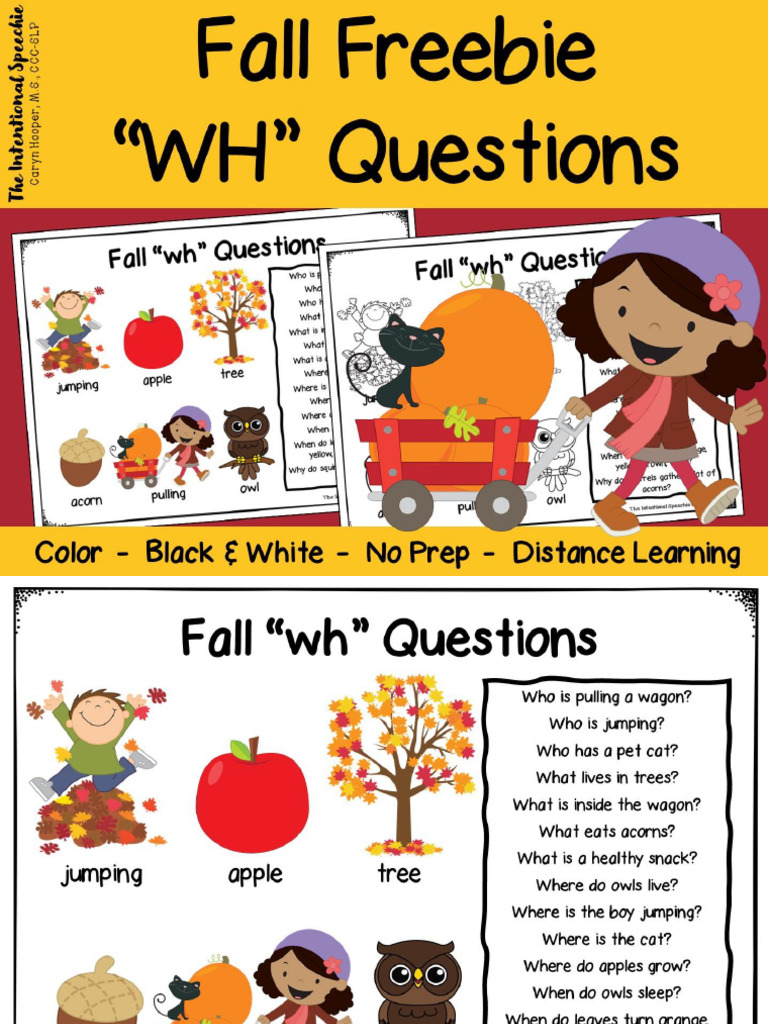Fall wh Questions | PDF