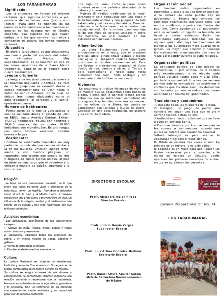 Triptico Estructura | PDF