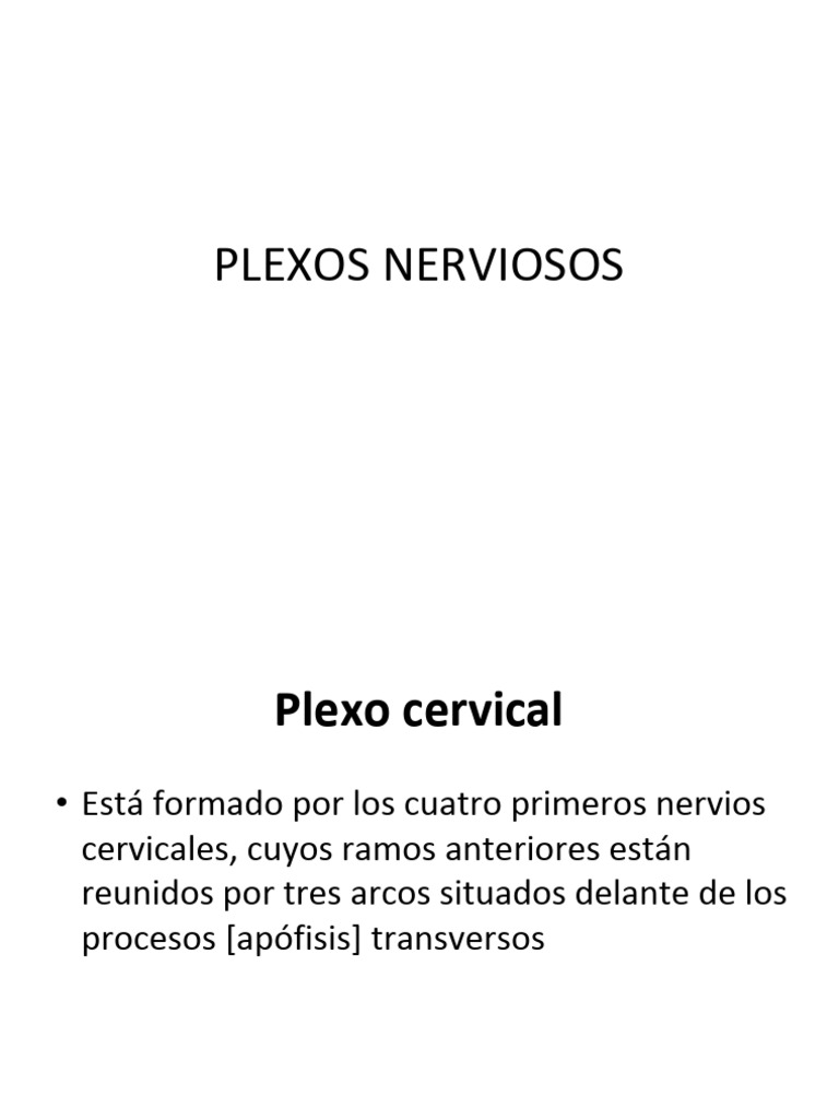 Plexos PDF | PDF | Neuroanatomía | Sistema nervioso