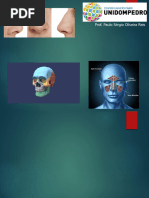 Anatomia Do Nariz e Seios Da Face | PDF | Sistema Esquelético | Otorrinolaringologia