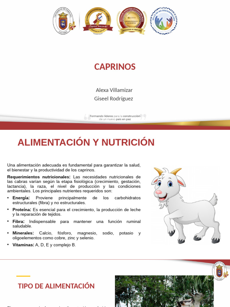 CAPRINOS | PDF | Alimentos | Nutrición