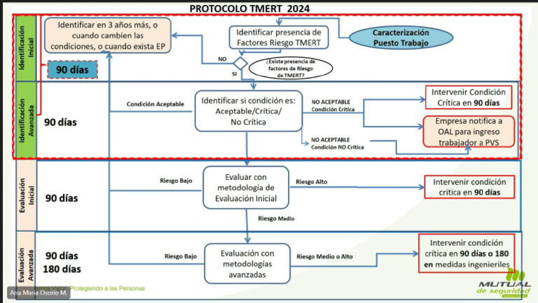 Flujo Nuevo Protocolo Tmert | PDF