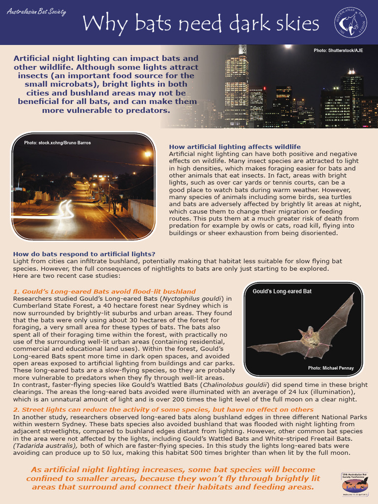 Australian Bat Society - Why Bats Need Dark Skies | PDF | Light | Bat